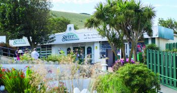 Sand Shop - The Needles